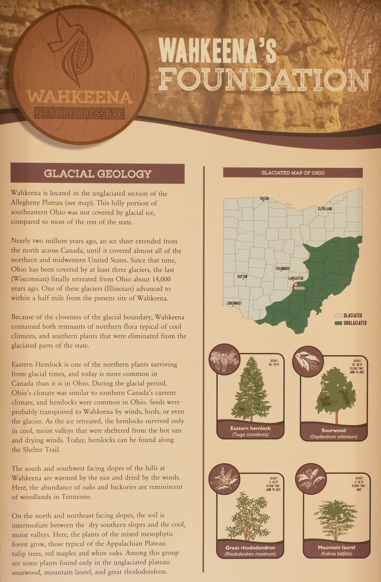 Wahkeena Nature Preserve – Woody Plants of Ohio